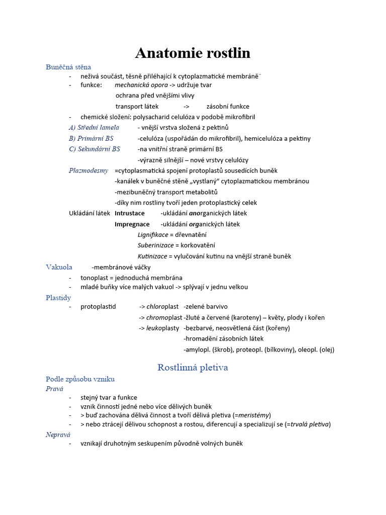 Anatomie Rostlin | PDF