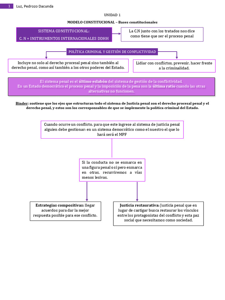 Procesal Penal Esquemas PRIMER PARCIAL | PDF