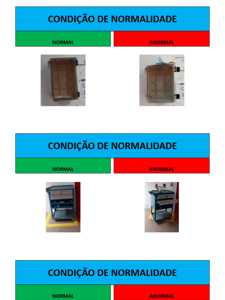 Normal Anormal | PDF