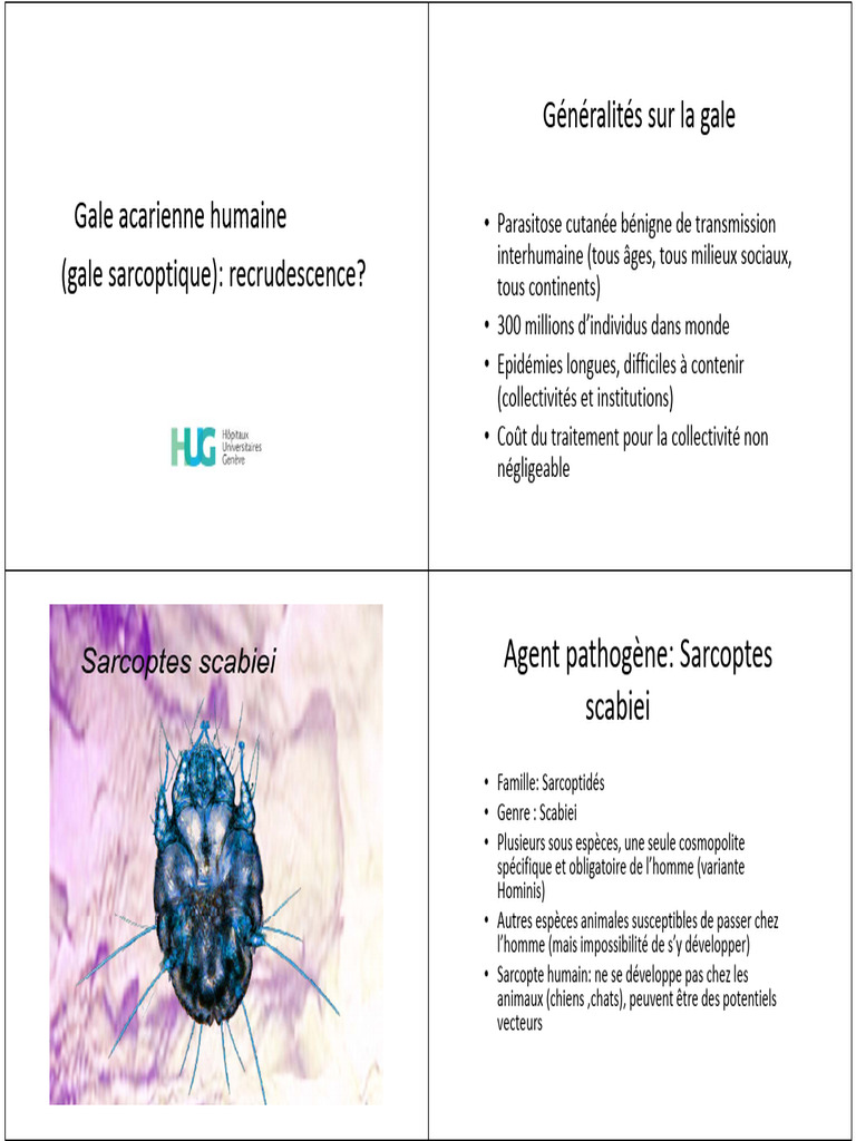 Comprendre la gale humaine | PDF | Microbiologie | Immunologie