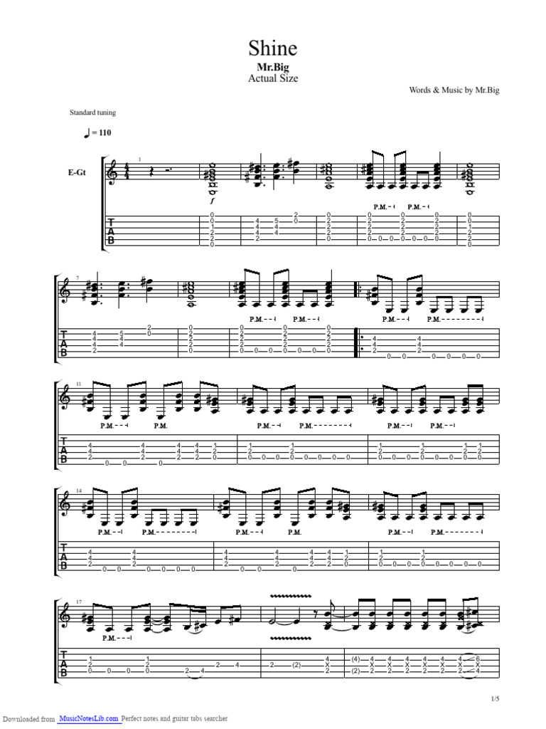 MR Big Shine | PDF | Guitar Family Instruments | Celtic Musical Instruments