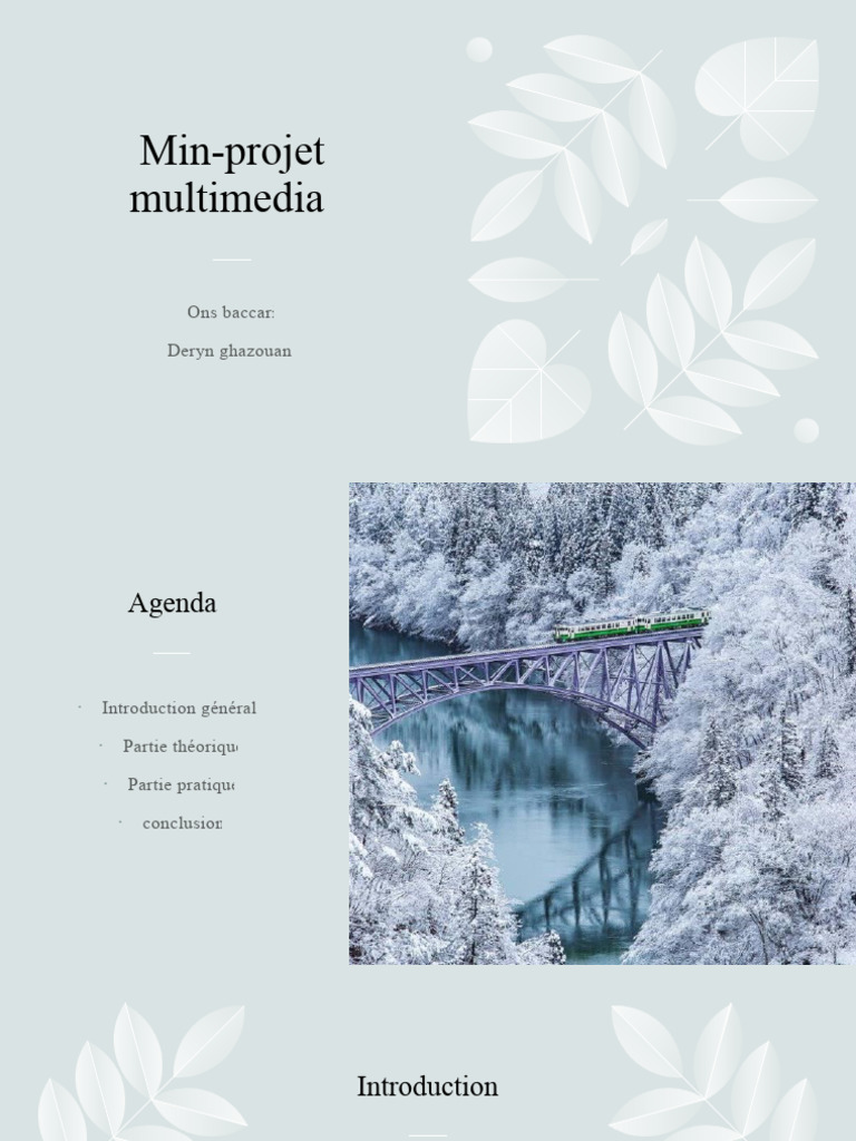 Min Projet Multimedia | PDF | Mathématiques | Informatique