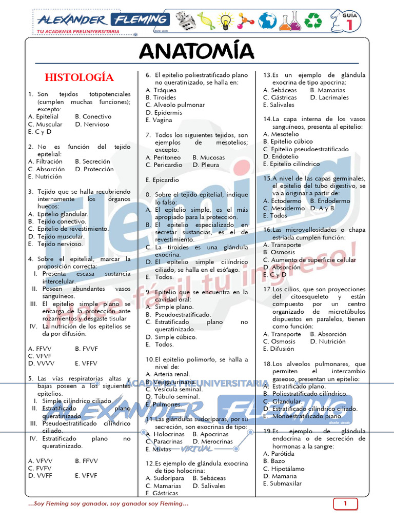 12711_ANATOMÍA_GUIA1T_INTENSIVO | PDF | Epitelio | Tejido conectivo