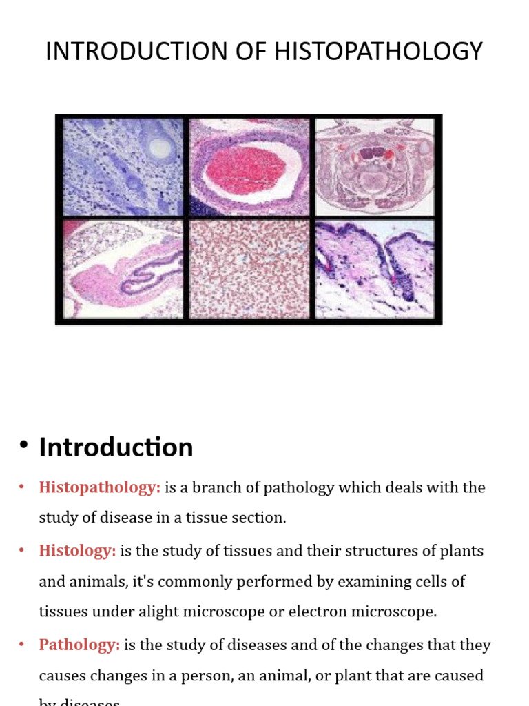 Introduction Of Histopathology Pdf Self Improvement Science