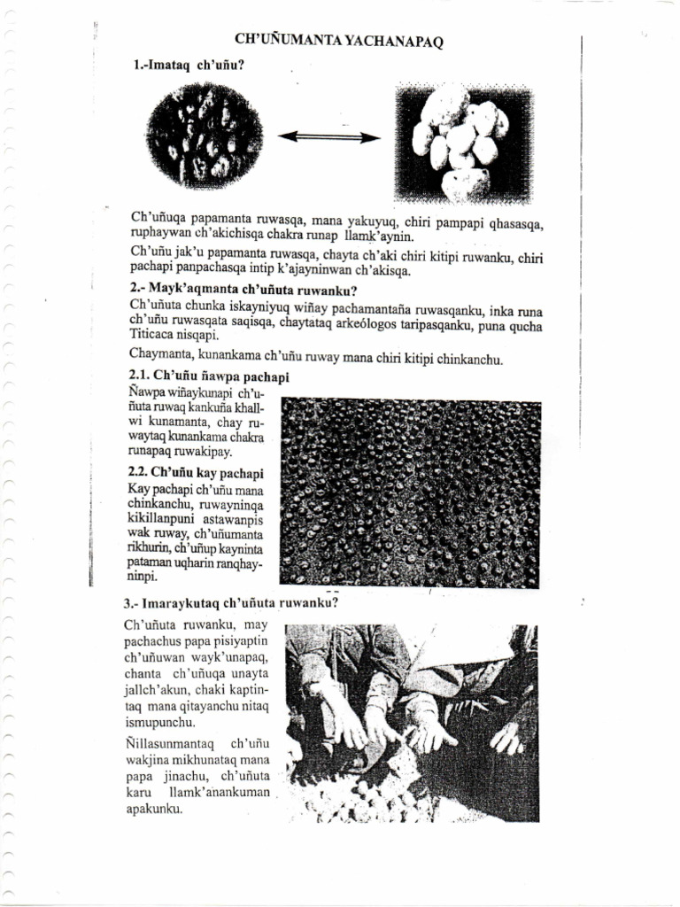 Chuñu Ruwaymanta | PDF