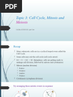 Mitosis and Meiosis Diagrams | PDF
