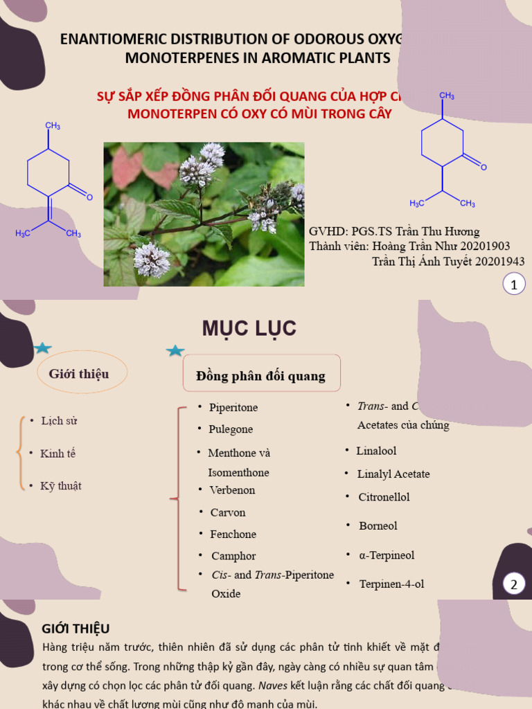 Enantiomeric Distribution of Odorous Oxygenated Monoterpenes in ...