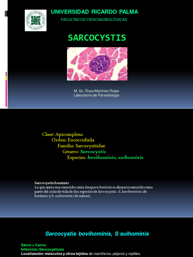 Clase 11b. SARCOCYSTIS-2022 | PDF