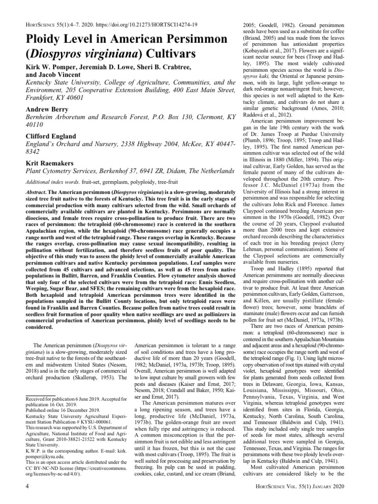 American Persimmon Ploidy Study | PDF | Plants | Plant Reproduction