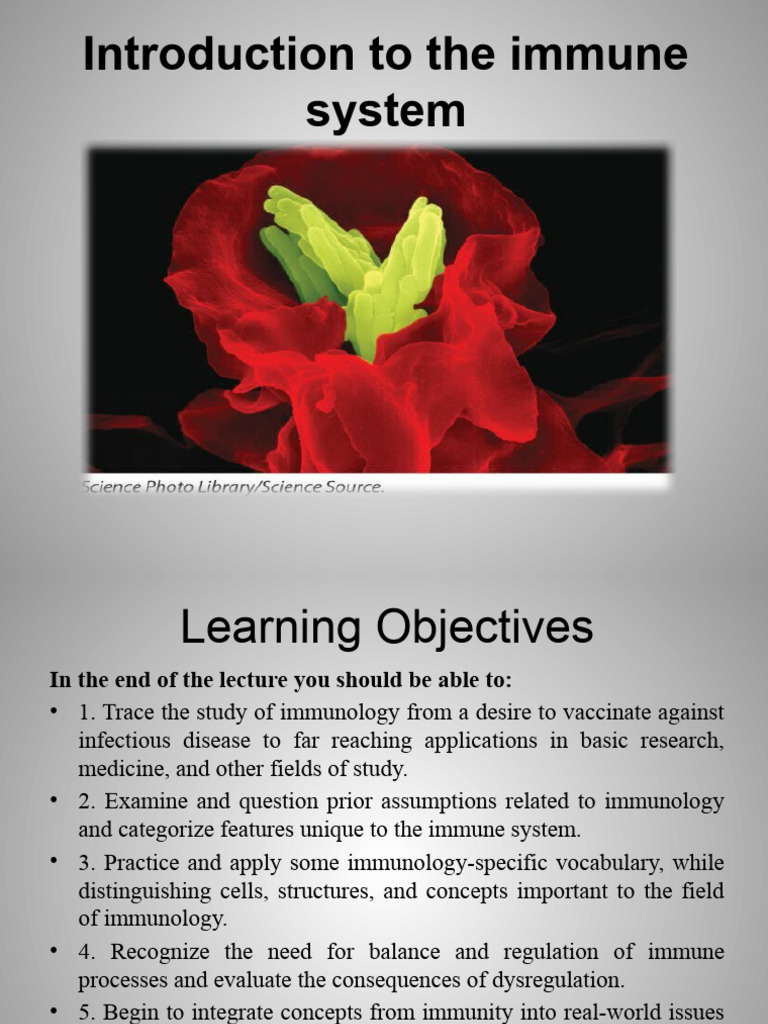 Introduction To Immunity | PDF | Immune System | Innate Immune System