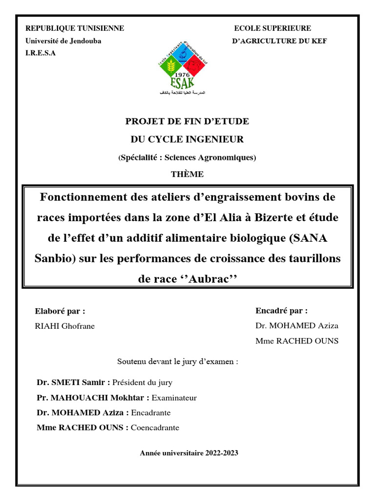 Rapport Pfe Final | PDF