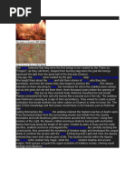 LTO Organizational Structure Overview | PDF | Public Administration ...