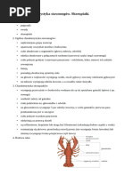 Felix, Net, Nika - Karta Pracy | PDF