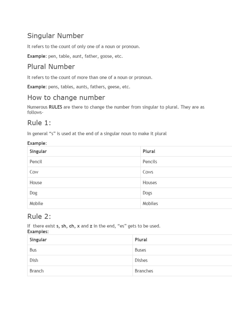 Grammar - Plural and Singular Numbers | PDF | Plural | Grammatical Number