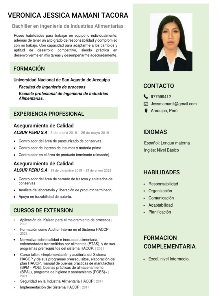 CV Veronica Mamani | PDF | Análisis de Riesgo y Puntos Críticos de ...