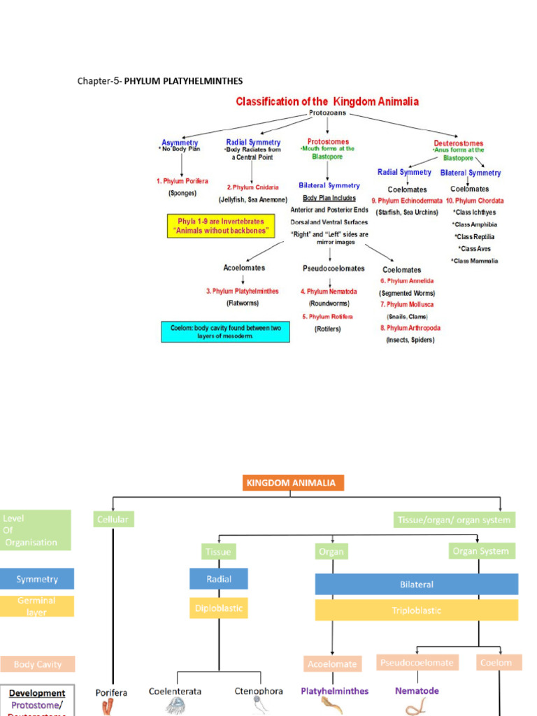Chapter-5 - Final Zoology-Dr. Sabri Naser | PDF | Wellness | Social Science