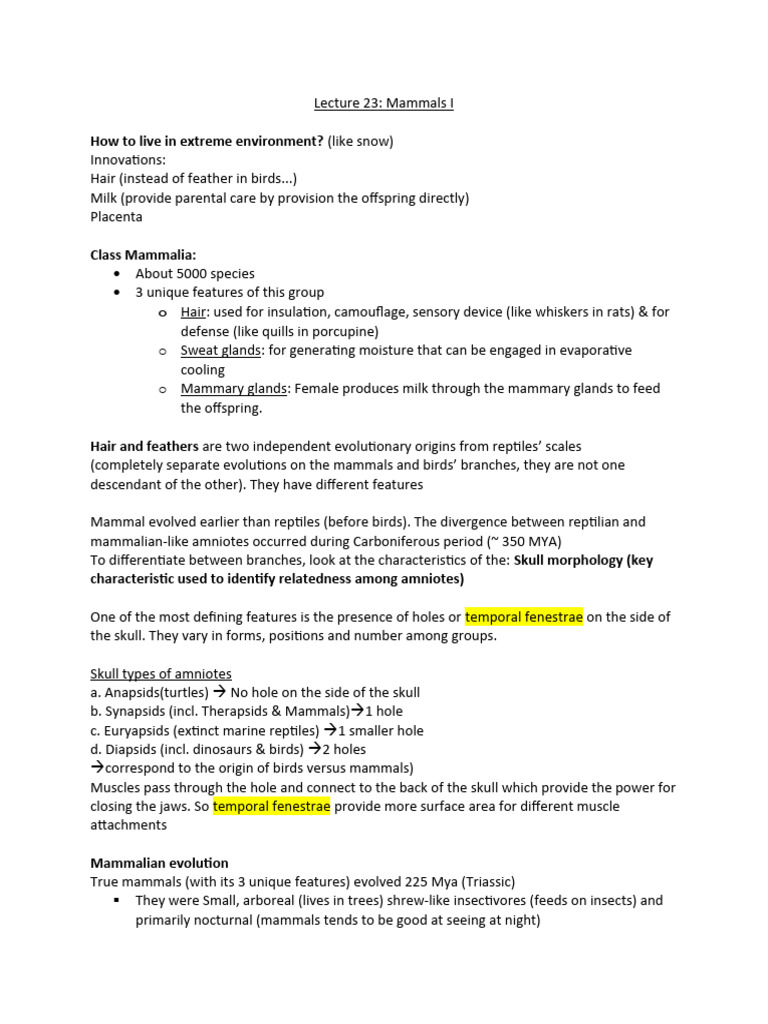 Lecture 23 Mammals | PDF | Mammals | Marsupials