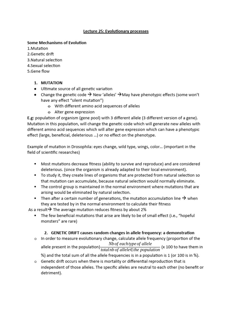 Lecture 25 Evolutionary Processes | PDF | Mutation | Natural Selection