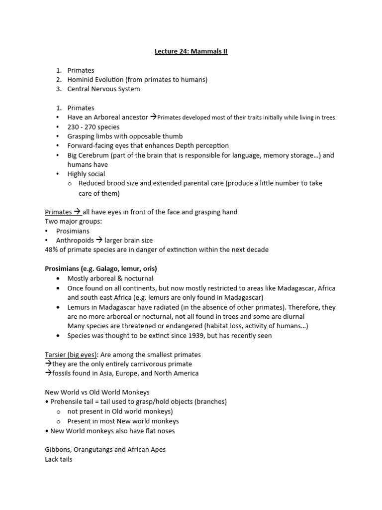 Lecture 24 Mammals 2 | PDF | Homo | Hominidae