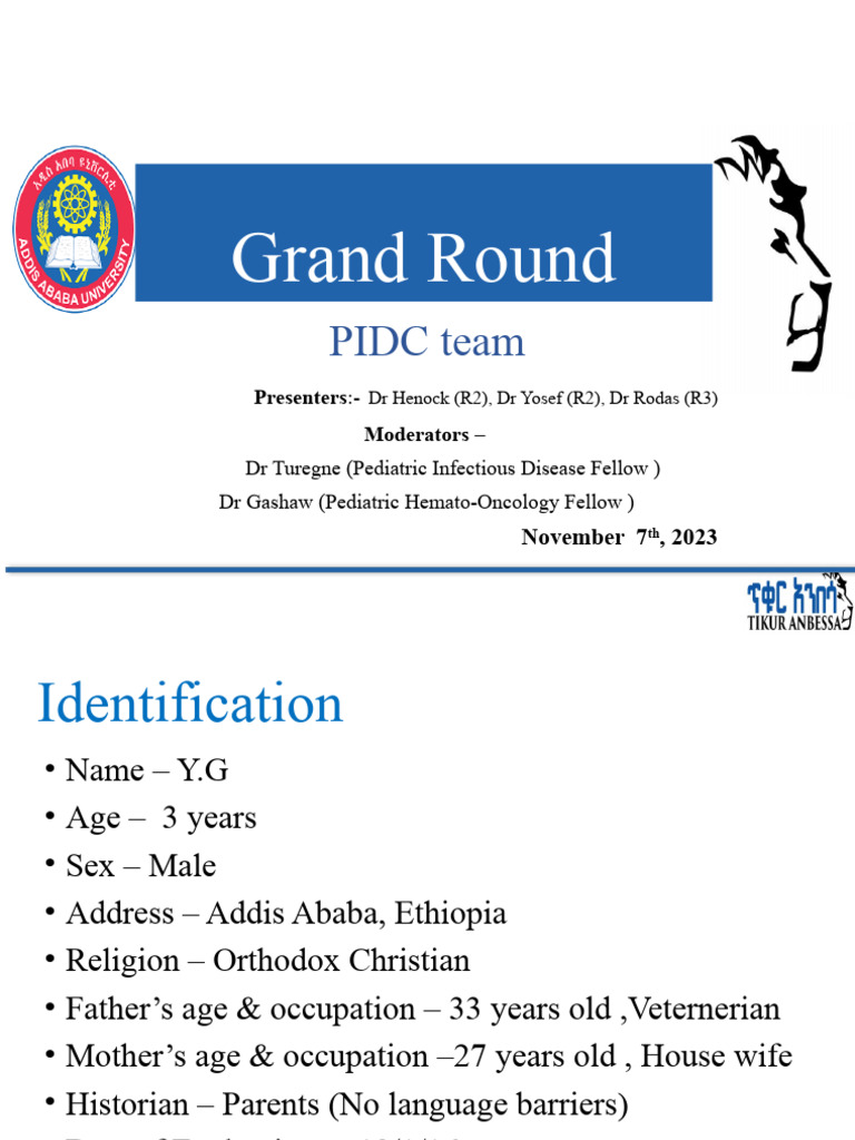 PIDC Grand Round Final | PDF | White Blood Cell | Bone Marrow
