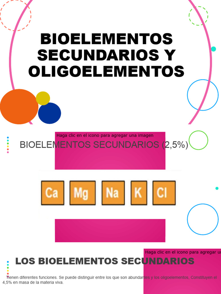 Diferencias Entre Bioelementos Primarios, Secundarios Y – NEXNE