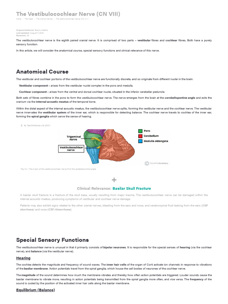 The Vestibulocochlear Nerve CN VIII Balance Hearing TeachMeAnatomy | PDF