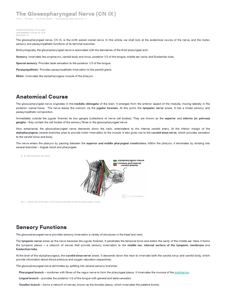 The Glossopharyngeal Nerve CN IX Course Sensory TeachMeAnatokmy | PDF ...