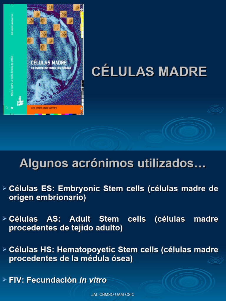 Celulas Madre | PDF | Célula madre | Potencia celular