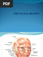 Facial Muscles Lateral View Diagram | PDF | Soft Tissue | Human Anatomy