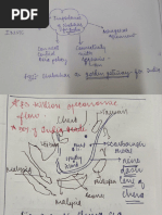 Essay Enrichment Program Ias Hub | PDF | Climate Change | Coral Reef