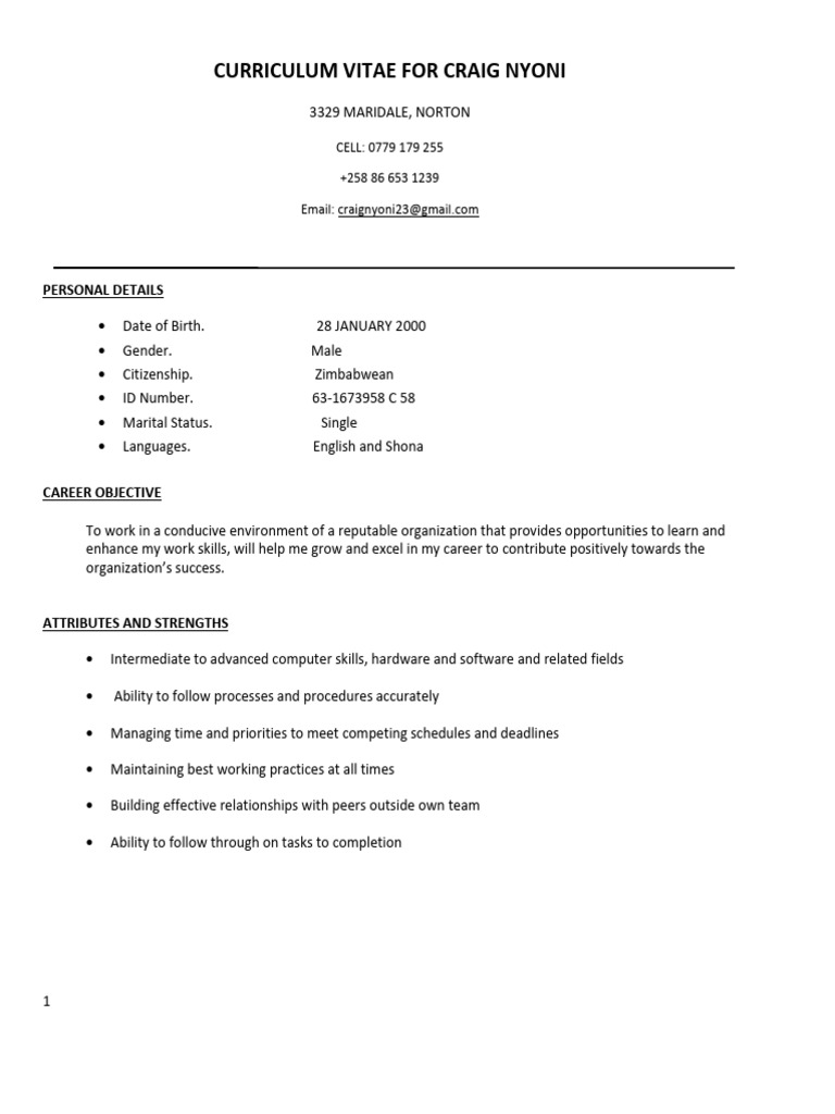 Craig Nyoni's CV: Computer Engineering | PDF | Computer Programming ...
