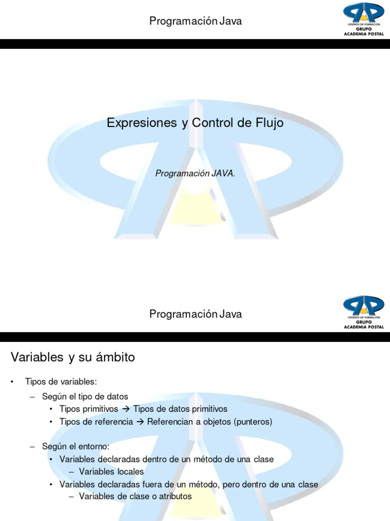 Expresiones y Control de Flujo | PDF | Java (lenguaje de programación) | Objeto (informática)