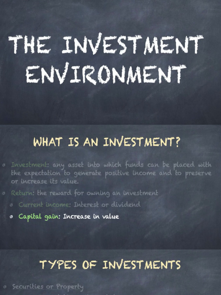 The Investment Environment | PDF