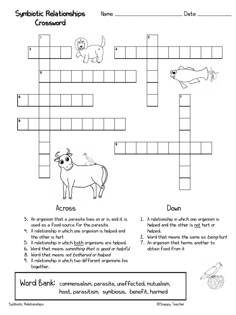 Symbiotic Relationships Crossword: Word Bank | PDF | Symbiosis | Life ...