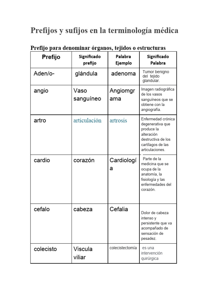 Prefijos y Sufijos | PDF