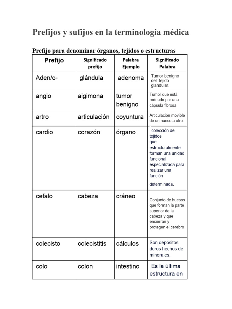 Prefijos y Sufijos en La Terminología Médica | Descargar gratis PDF ...