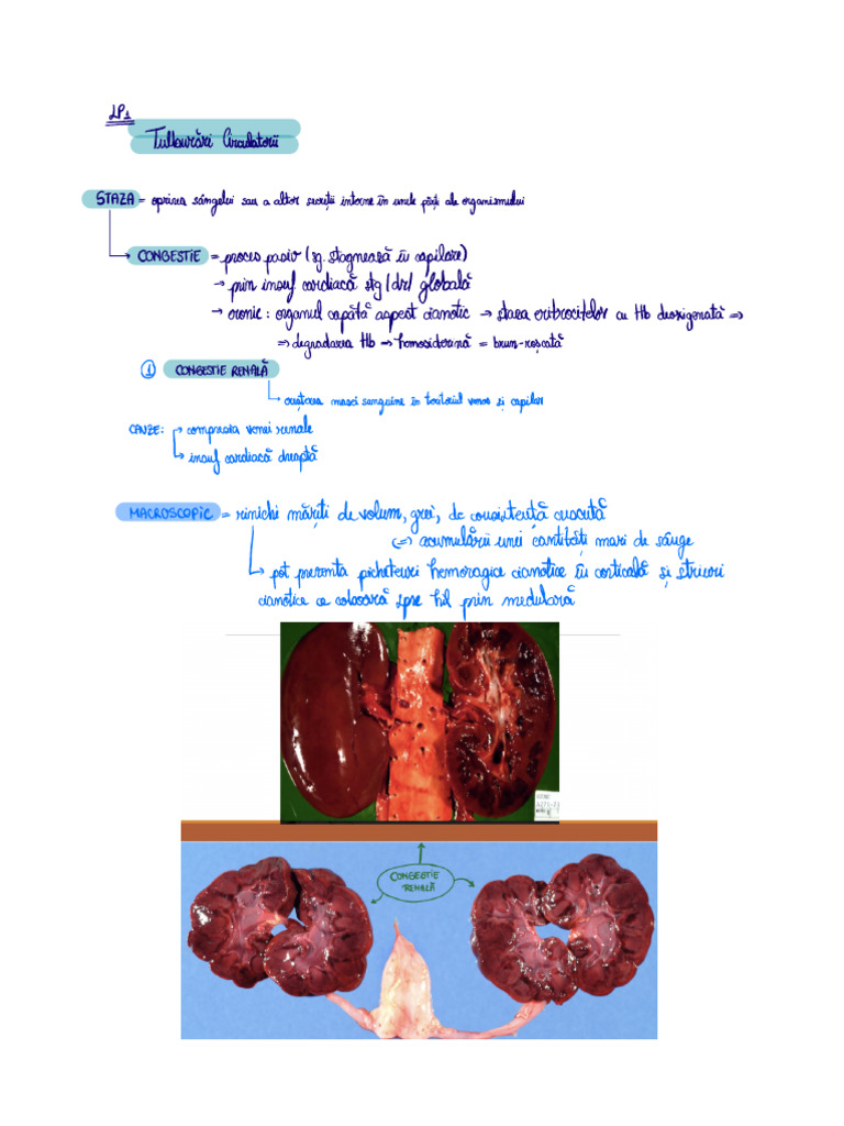 COLOCVIU | PDF | Cardiovascular Diseases