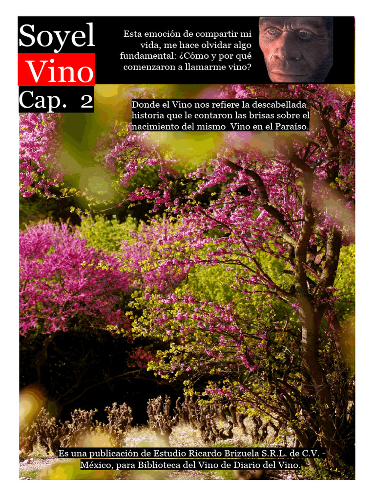 Soy El Vino Capítulo 2 | PDF | Vino | Uva