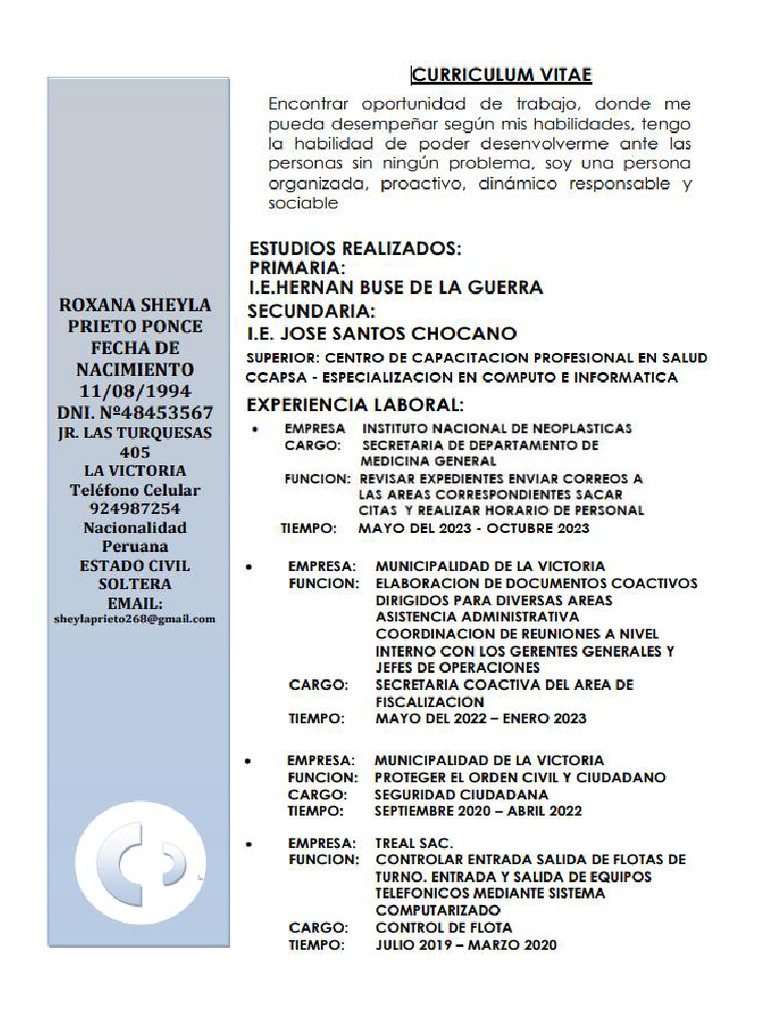 CV 2023 Actualizado | PDF