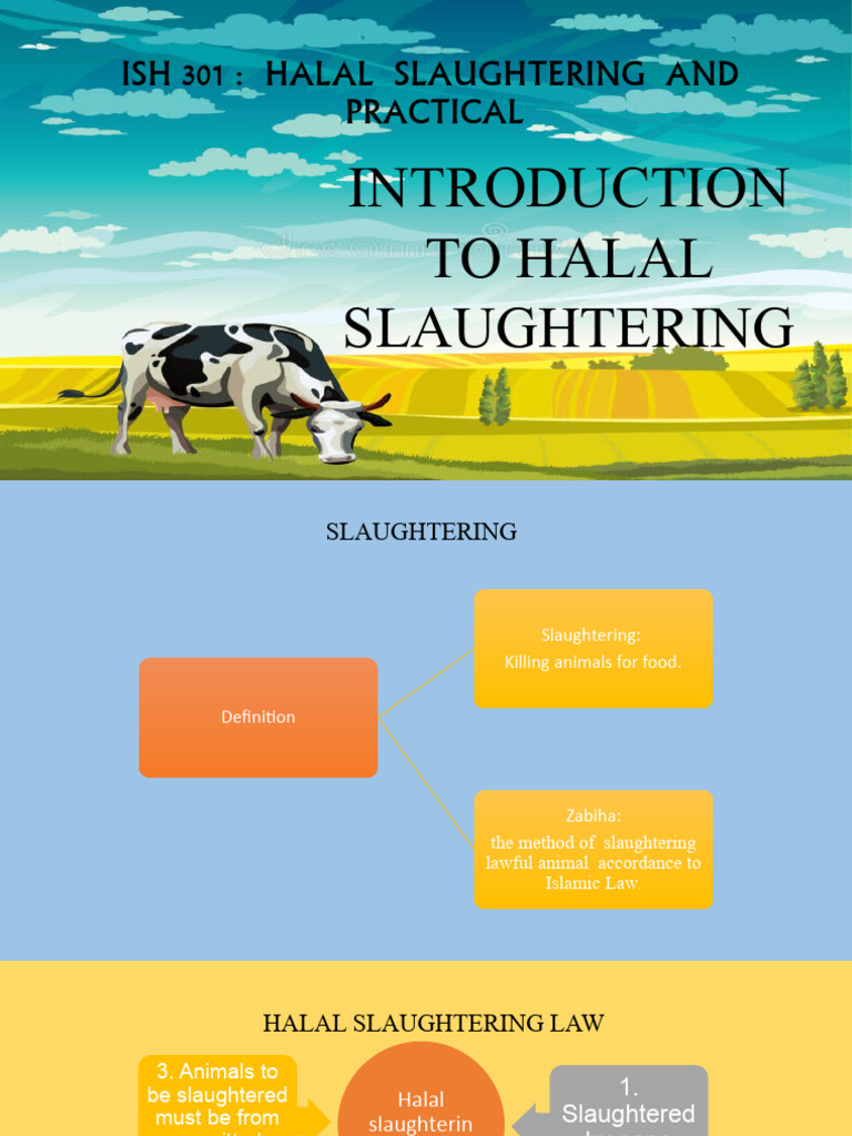 Introduction To Halal Slaughtering | PDF | Animal Slaughter | Sharia