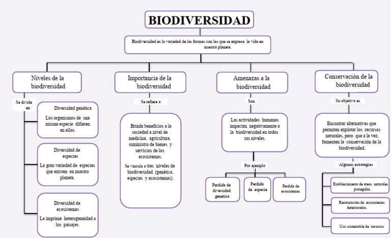 Mapa Conceptual de La Biodiversidad | PDF | Biodiversidad | Protección del medio ambiente