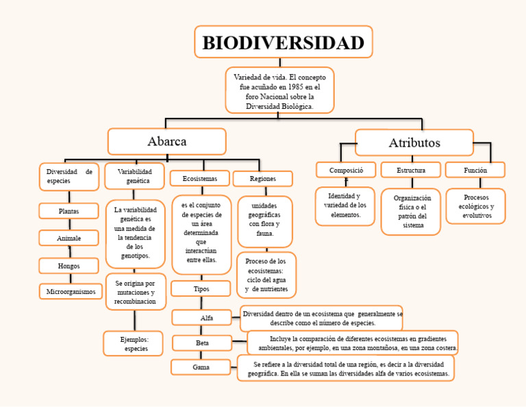 Mapa Conceptual de La Biodiversidad 2 | PDF | Biodiversidad | Ecosistema
