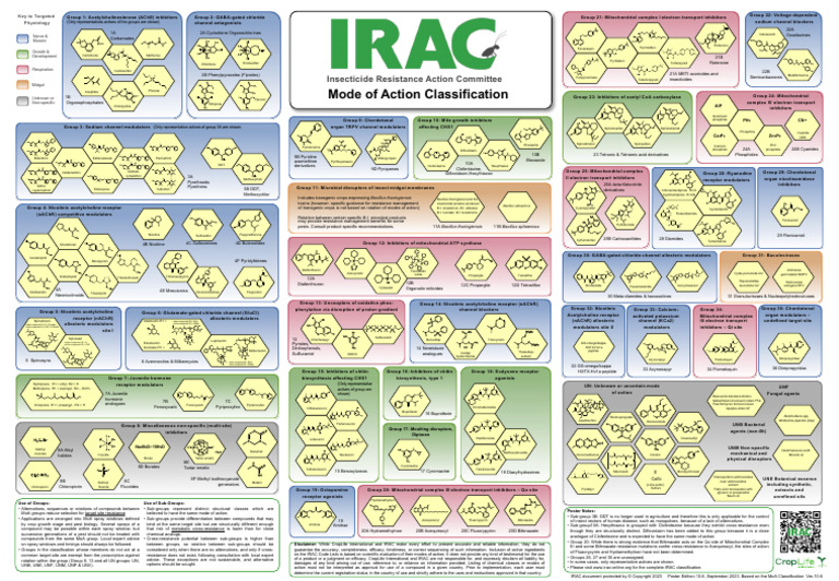 Eng Moa Structure Poster Ed10 6 22sept23 Pdf