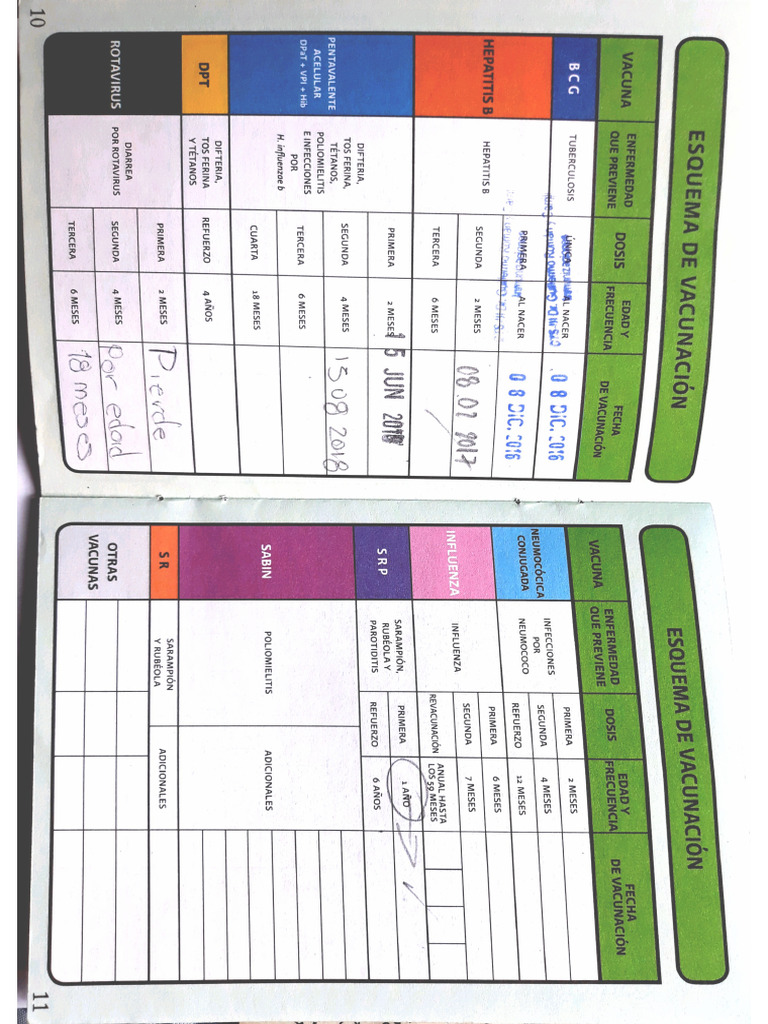 Nuevo Documento | PDF