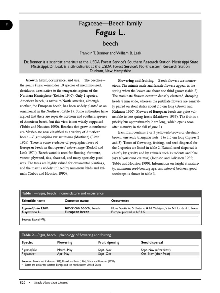 Fagus L.: Fagaceae-Beech Family | PDF