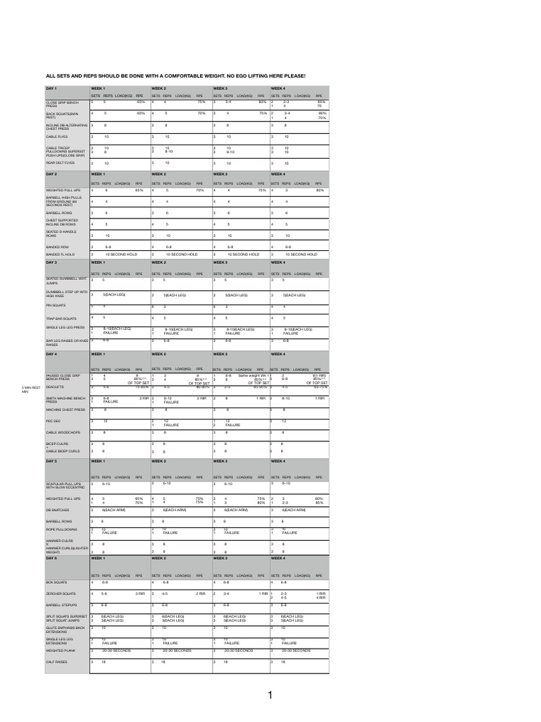 FREE 6 Day Training Program | PDF