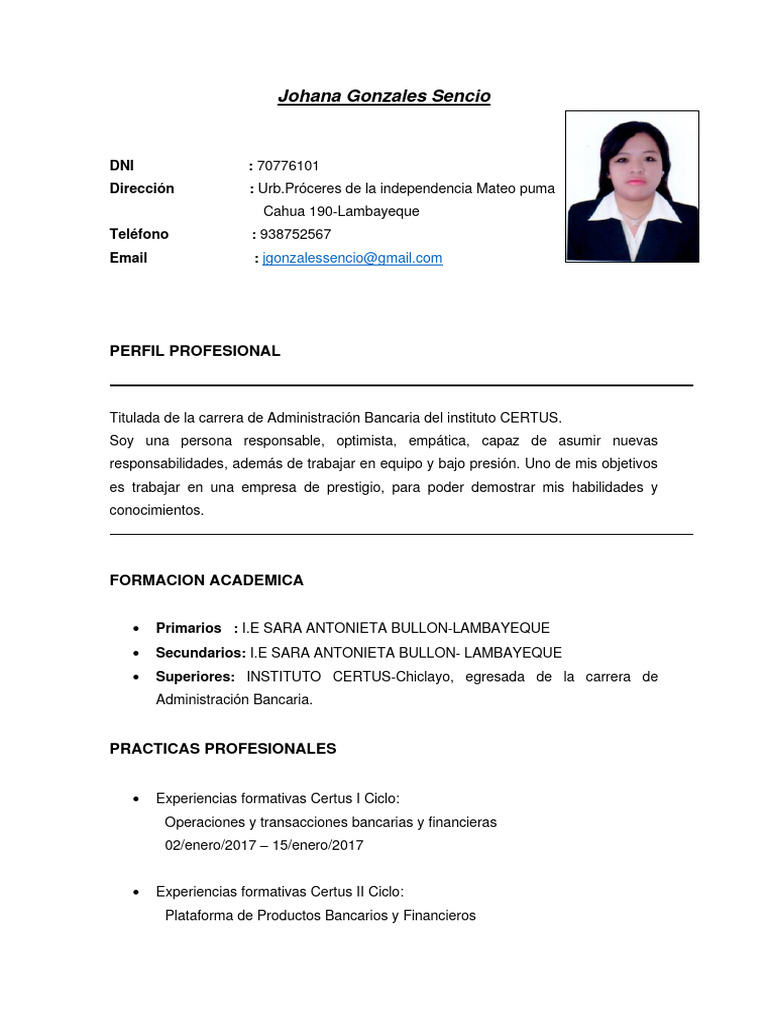 CURRICULUM VITAE | PDF | Economias | Business