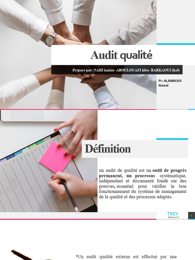 Audit Qualité | PDF | Audit | Business