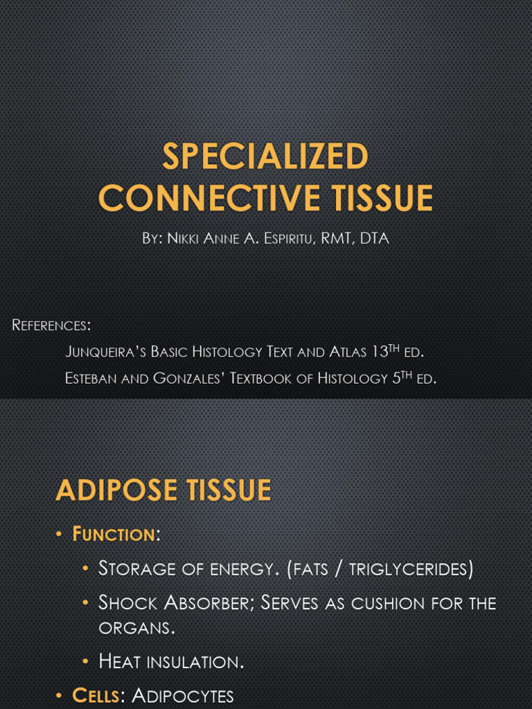 Specialized Connective Tissue Overview | PDF | Bone | Osteoblast
