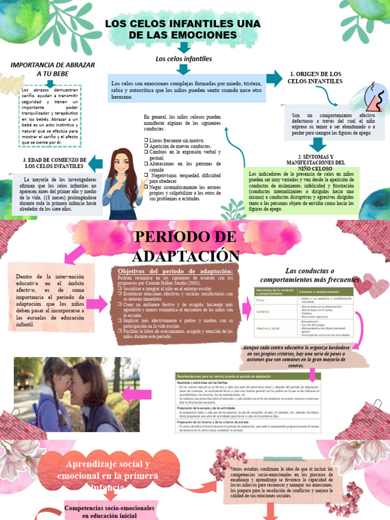 ORGANIZADOR | PDF | Las emociones | Teoría de apego